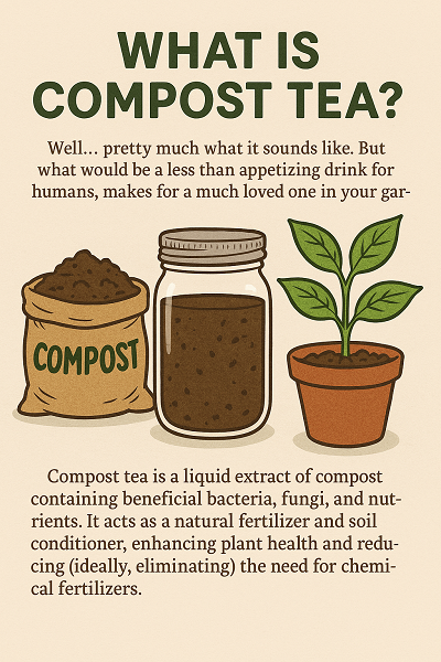All About Compost Tea – The Farm Connection