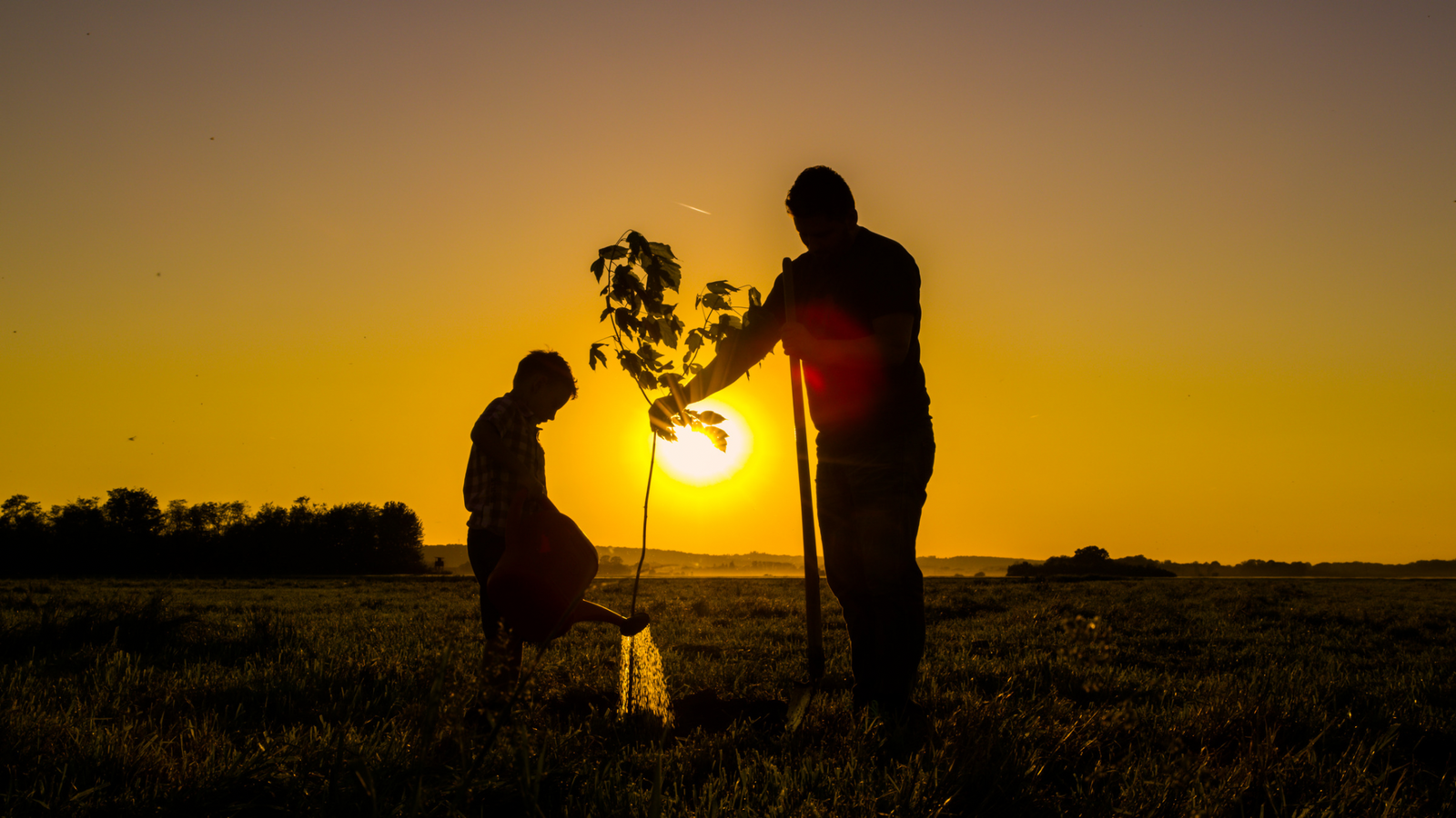 Tips and Tricks for Tree Planting Success – The Farm Connection