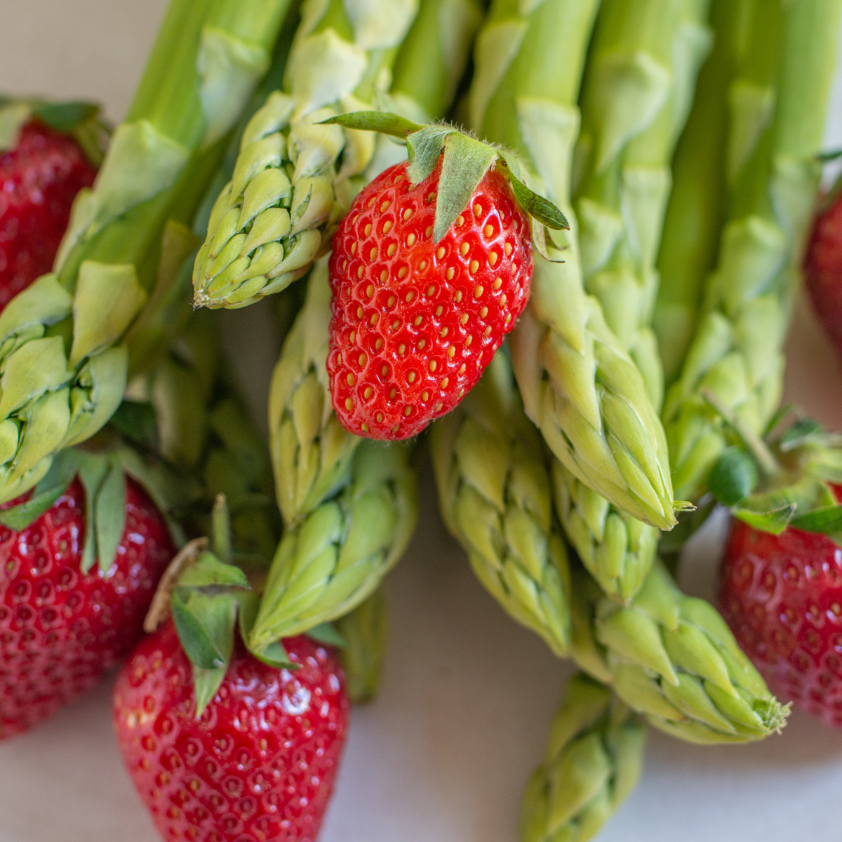 Companion Planting Strawberries, Asparagus & Alliums – The Farm Connection
