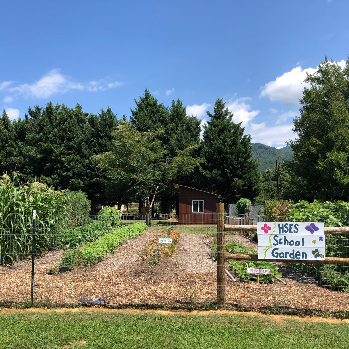 Supporting Our Community Gardens – The Farm Connection
