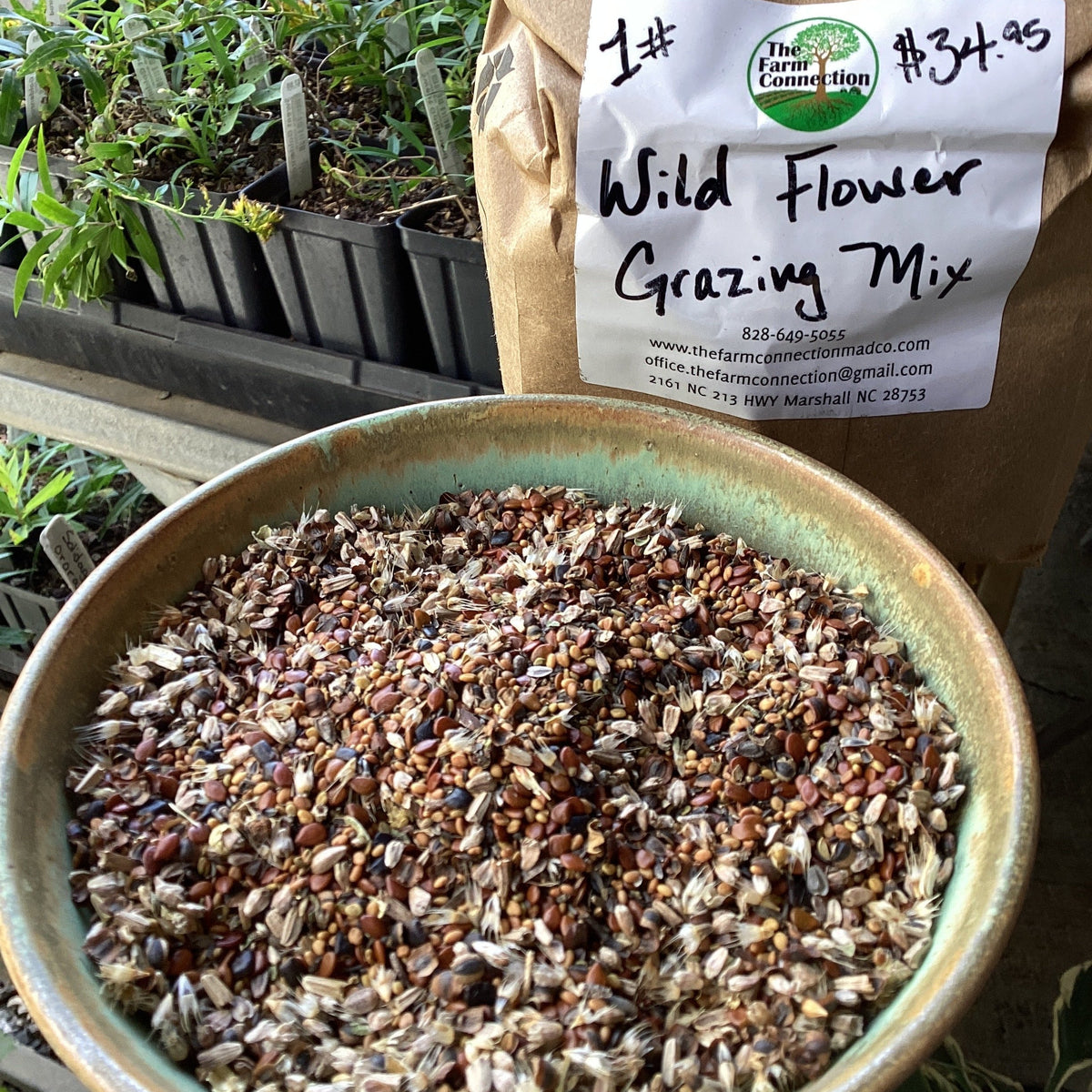 Native Wildflower Grazing Seed Mix – The Farm Connection