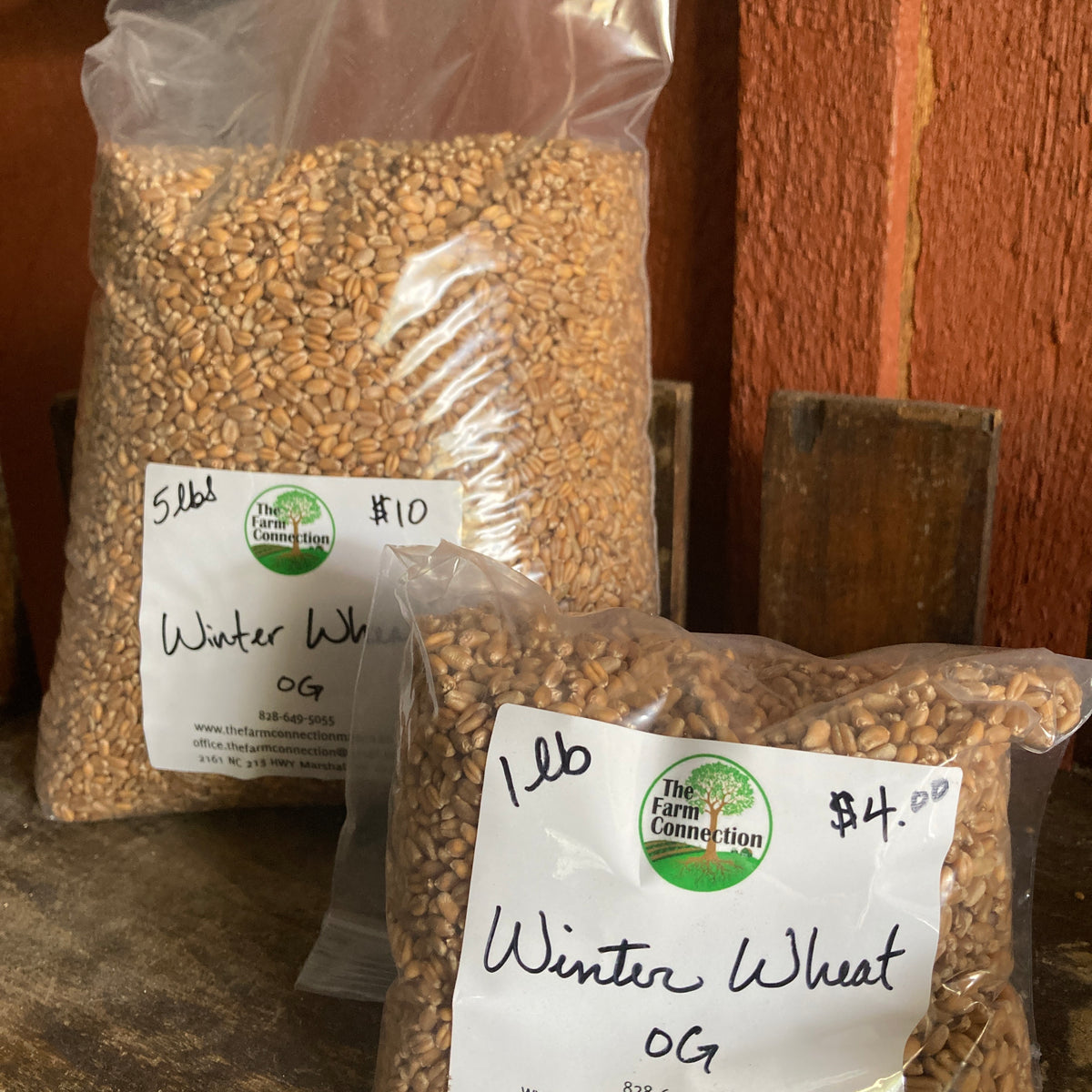 Organic Winter Wheat Cover Crop Seeds – The Farm Connection